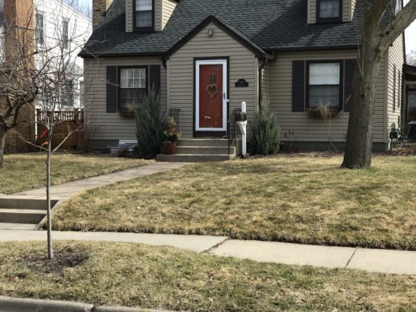 How to Smooth a Bumpy Lawn - Parkway Lawn Services | Lawn Care in ...